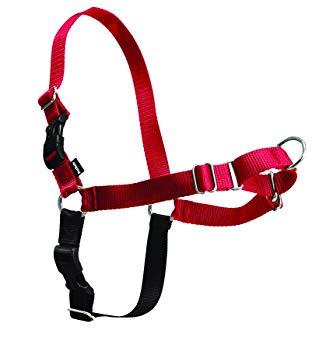 &nbsp;メーカー&nbsp;Rangers&nbsp;商品カテゴリ&nbsp;犬用首輪・ハーネス・リード＞ハーネス&nbsp;発送目安&nbsp;1〜2週間以内に発送予定&nbsp;お支払方法&nbsp;銀行振込・クレジットカード&nb...