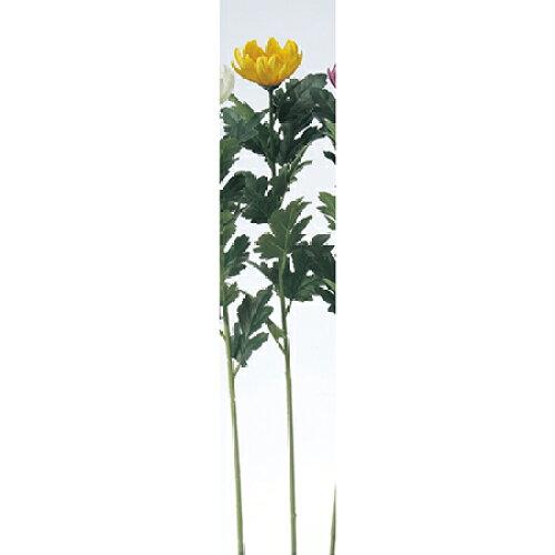 &nbsp;メーカー&nbsp;ASCA アスカ&nbsp;商品カテゴリ&nbsp;フラワー・観葉植物＞造花&nbsp;発送目安&nbsp;2日〜3日以内に発送予定（土日祝除）&nbsp;お支払方法&nbsp;銀行振込・クレジットカード&n...