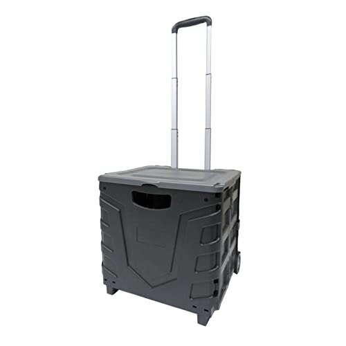 &nbsp;メーカー&nbsp;センター商事&nbsp;商品カテゴリ&nbsp;ショッピングバッグ・キャリー＞ショッピングキャリー&nbsp;発送目安&nbsp;1週間以内に発送予定&nbsp;お支払方法&nbsp;銀行振込・クレジットカー...