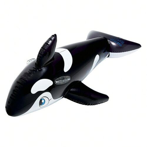 &nbsp;メーカー&nbsp;イガラシ&nbsp;商品カテゴリ&nbsp;アクション・スポーツトイ＞プール・水遊び&nbsp;発送目安&nbsp;2日〜3日以内に発送予定（土日祝除）&nbsp;お支払方法&nbsp;銀行振込・クレジットカ...