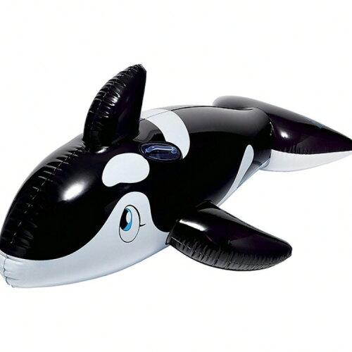 &nbsp;メーカー&nbsp;イガラシ&nbsp;商品カテゴリ&nbsp;アクション・スポーツトイ＞プール・水遊び&nbsp;発送目安&nbsp;2日〜3日以内に発送予定（土日祝除）&nbsp;お支払方法&nbsp;銀行振込・クレジットカ...