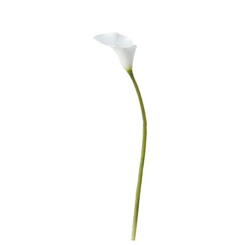&nbsp;メーカー&nbsp;ASCA アスカ&nbsp;商品カテゴリ&nbsp;フラワー・観葉植物＞造花&nbsp;発送目安&nbsp;2日〜3日以内に発送予定（土日祝除）&nbsp;お支払方法&nbsp;銀行振込・クレジットカード&n...