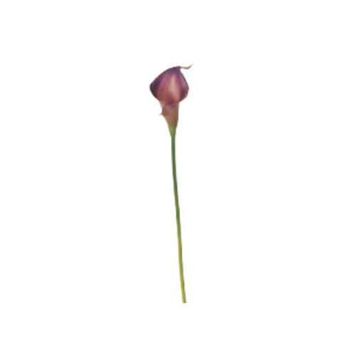 &nbsp;メーカー&nbsp;ASCA アスカ&nbsp;商品カテゴリ&nbsp;フラワー・観葉植物＞造花&nbsp;発送目安&nbsp;2日〜3日以内に発送予定（土日祝除）&nbsp;お支払方法&nbsp;銀行振込・クレジットカード&n...