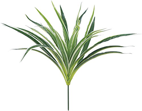 &nbsp;メーカー&nbsp;ASCA アスカ&nbsp;商品カテゴリ&nbsp;フラワー・観葉植物＞造花&nbsp;発送目安&nbsp;2日〜3日以内に発送予定（土日祝除）&nbsp;お支払方法&nbsp;銀行振込・クレジットカード&n...