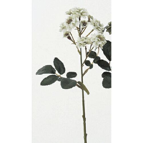&nbsp;メーカー&nbsp;ASCA アスカ&nbsp;商品カテゴリ&nbsp;フラワー・観葉植物＞造花&nbsp;発送目安&nbsp;2日〜3日以内に発送予定（土日祝除）&nbsp;お支払方法&nbsp;銀行振込・クレジットカード&n...