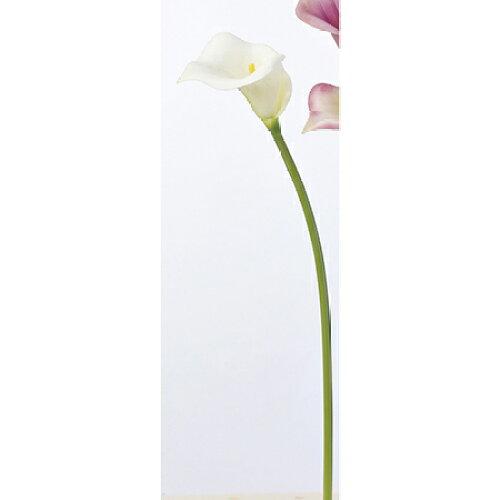 &nbsp;メーカー&nbsp;ASCA アスカ&nbsp;商品カテゴリ&nbsp;フラワー・観葉植物＞造花&nbsp;発送目安&nbsp;2日〜3日以内に発送予定（土日祝除）&nbsp;お支払方法&nbsp;銀行振込・クレジットカード&n...
