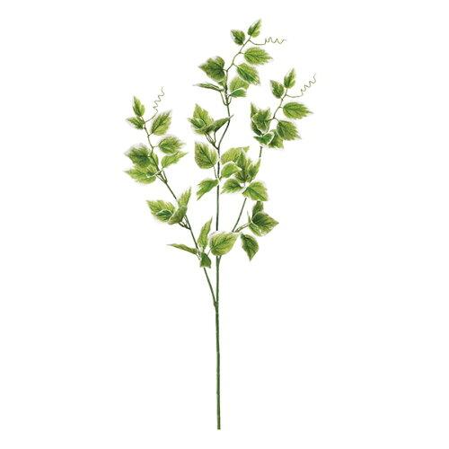 &nbsp;メーカー&nbsp;ASCA アスカ&nbsp;商品カテゴリ&nbsp;フラワー・観葉植物＞造花&nbsp;発送目安&nbsp;2日〜3日以内に発送予定（土日祝除）&nbsp;お支払方法&nbsp;銀行振込・クレジットカード&n...