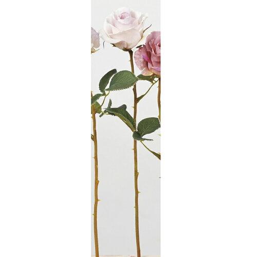 &nbsp;メーカー&nbsp;ASCA アスカ&nbsp;商品カテゴリ&nbsp;フラワー・観葉植物＞造花&nbsp;発送目安&nbsp;2日〜3日以内に発送予定（土日祝除）&nbsp;お支払方法&nbsp;銀行振込・クレジットカード&n...