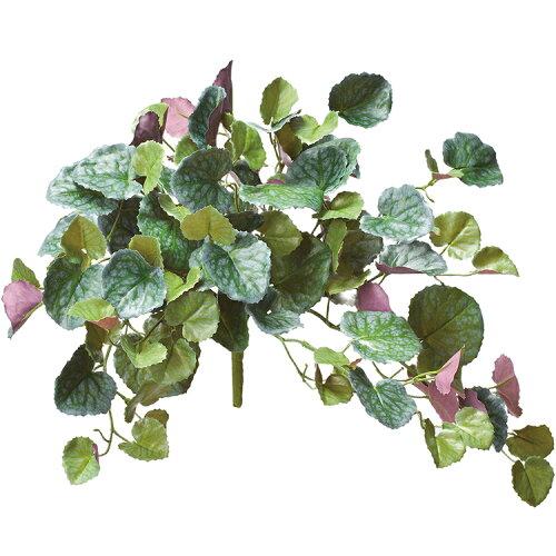 &nbsp;メーカー&nbsp;ASCA アスカ&nbsp;商品カテゴリ&nbsp;フラワー・観葉植物＞造花&nbsp;発送目安&nbsp;2日〜3日以内に発送予定（土日祝除）&nbsp;お支払方法&nbsp;銀行振込・クレジットカード&n...