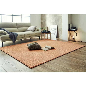 &nbsp;メーカー&nbsp;イケヒコ&nbsp;商品カテゴリ&nbsp;ラグ・カーペット・マット＞ラグ&nbsp;発送目安&nbsp;2日〜3日以内に発送予定（土日祝除）&nbsp;お支払方法&nbsp;銀行振込・クレジットカード&nb...