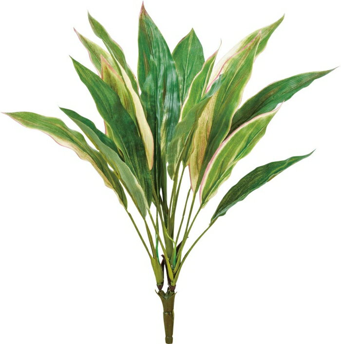 &nbsp;メーカー&nbsp;ASCA アスカ&nbsp;商品カテゴリ&nbsp;フラワー・観葉植物＞造花&nbsp;発送目安&nbsp;2日〜3日以内に発送予定（土日祝除）&nbsp;お支払方法&nbsp;銀行振込・クレジットカード&n...