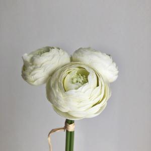 &nbsp;メーカー&nbsp;ASCA アスカ&nbsp;商品カテゴリ&nbsp;フラワー・観葉植物＞造花&nbsp;発送目安&nbsp;2日〜3日以内に発送予定（土日祝除）&nbsp;お支払方法&nbsp;銀行振込・クレジットカード&n...