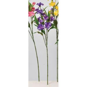 &nbsp;メーカー&nbsp;ASCA アスカ&nbsp;商品カテゴリ&nbsp;フラワー・観葉植物＞造花&nbsp;発送目安&nbsp;2日〜3日以内に発送予定（土日祝除）&nbsp;お支払方法&nbsp;銀行振込・クレジットカード&n...