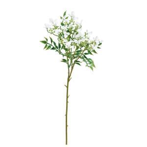 &nbsp;メーカー&nbsp;ASCA アスカ&nbsp;商品カテゴリ&nbsp;フラワー・観葉植物＞造花&nbsp;発送目安&nbsp;2日〜3日以内に発送予定（土日祝除）&nbsp;お支払方法&nbsp;銀行振込・クレジットカード&n...