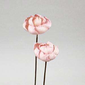 &nbsp;メーカー&nbsp;アプラス&nbsp;商品カテゴリ&nbsp;ドライ・プリザーブドフラワー＞ドライフラワー&nbsp;発送目安&nbsp;1〜2週間以内に発送予定&nbsp;お支払方法&nbsp;銀行振込・クレジットカード&n...