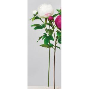 &nbsp;メーカー&nbsp;ASCA アスカ&nbsp;商品カテゴリ&nbsp;フラワー・観葉植物＞造花&nbsp;発送目安&nbsp;2日〜3日以内に発送予定（土日祝除）&nbsp;お支払方法&nbsp;銀行振込・クレジットカード&n...