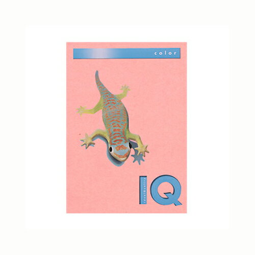 &nbsp;メーカー&nbsp;モンディ&nbsp;商品カテゴリ&nbsp;コピー・印刷用紙＞コピー用紙&nbsp;発送目安&nbsp;3日〜4日以内に発送予定（土日祝除）&nbsp;お支払方法&nbsp;銀行振込・クレジットカード&nbs...