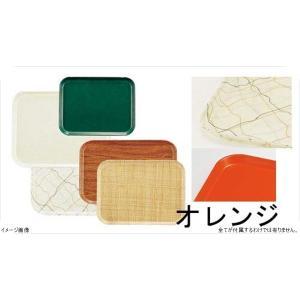 &nbsp;メーカー&nbsp;CAMBRO (キャンブロ)&nbsp;商品カテゴリ&nbsp;卓上用品＞トレイ・盆&nbsp;発送目安&nbsp;2日〜3日以内に発送予定（土日祝除）&nbsp;お支払方法&nbsp;銀行振込・クレジットカ...