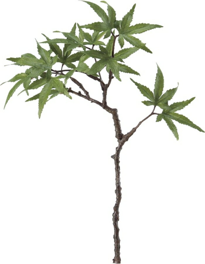 &nbsp;メーカー&nbsp;ASCA アスカ&nbsp;商品カテゴリ&nbsp;フラワー・観葉植物＞造花&nbsp;発送目安&nbsp;2日〜3日以内に発送予定（土日祝除）&nbsp;お支払方法&nbsp;銀行振込・クレジットカード&n...