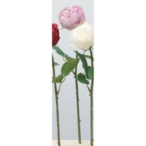 &nbsp;メーカー&nbsp;ASCA アスカ&nbsp;商品カテゴリ&nbsp;フラワー・観葉植物＞造花&nbsp;発送目安&nbsp;2日〜3日以内に発送予定（土日祝除）&nbsp;お支払方法&nbsp;銀行振込・クレジットカード&n...