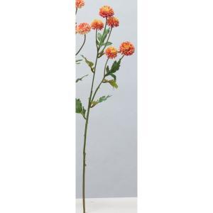 &nbsp;メーカー&nbsp;ASCA アスカ&nbsp;商品カテゴリ&nbsp;フラワー・観葉植物＞造花&nbsp;発送目安&nbsp;2日〜3日以内に発送予定（土日祝除）&nbsp;お支払方法&nbsp;銀行振込・クレジットカード&n...