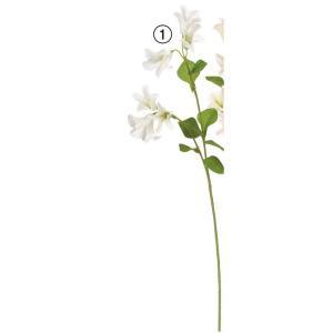 &nbsp;メーカー&nbsp;ASCA アスカ&nbsp;商品カテゴリ&nbsp;フラワー・観葉植物＞造花&nbsp;発送目安&nbsp;2日〜3日以内に発送予定（土日祝除）&nbsp;お支払方法&nbsp;銀行振込・クレジットカード&n...