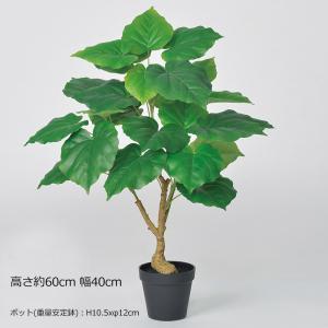 &nbsp;メーカー&nbsp;ASCA アスカ&nbsp;商品カテゴリ&nbsp;フラワー・観葉植物＞造花&nbsp;発送目安&nbsp;2日〜3日以内に発送予定（土日祝除）&nbsp;お支払方法&nbsp;銀行振込・クレジットカード&n...