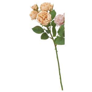 &nbsp;メーカー&nbsp;ASCA アスカ&nbsp;商品カテゴリ&nbsp;フラワー・観葉植物＞造花&nbsp;発送目安&nbsp;2日〜3日以内に発送予定（土日祝除）&nbsp;お支払方法&nbsp;銀行振込・クレジットカード&n...