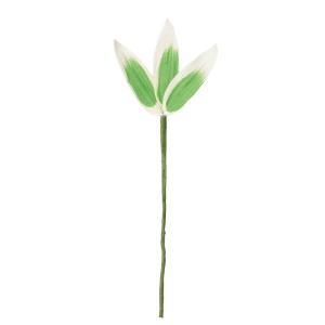 &nbsp;メーカー&nbsp;ASCA アスカ&nbsp;商品カテゴリ&nbsp;フラワー・観葉植物＞造花&nbsp;発送目安&nbsp;2日〜3日以内に発送予定（土日祝除）&nbsp;お支払方法&nbsp;銀行振込・クレジットカード&n...