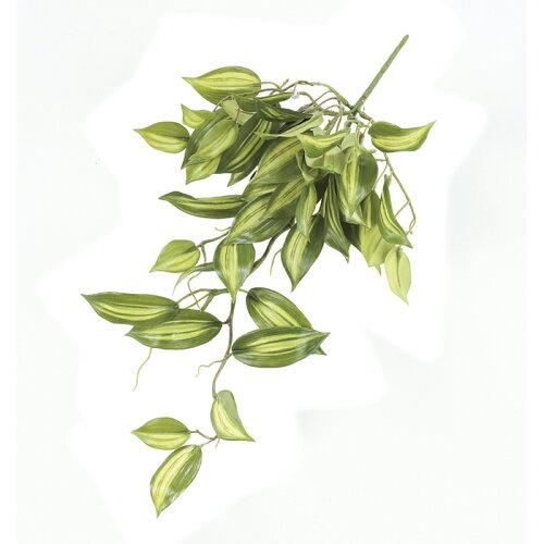 &nbsp;メーカー&nbsp;ASCA アスカ&nbsp;商品カテゴリ&nbsp;フラワー・観葉植物＞造花&nbsp;発送目安&nbsp;2日〜3日以内に発送予定（土日祝除）&nbsp;お支払方法&nbsp;銀行振込・クレジットカード&n...