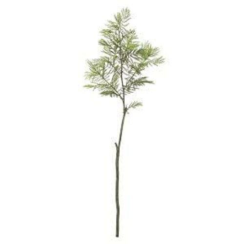 &nbsp;メーカー&nbsp;ASCA アスカ&nbsp;商品カテゴリ&nbsp;フラワー・観葉植物＞造花&nbsp;発送目安&nbsp;2日〜3日以内に発送予定（土日祝除）&nbsp;お支払方法&nbsp;銀行振込・クレジットカード&n...