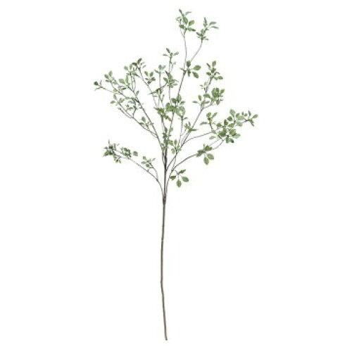 &nbsp;メーカー&nbsp;ASCA アスカ&nbsp;商品カテゴリ&nbsp;フラワー・観葉植物＞造花&nbsp;発送目安&nbsp;2日〜3日以内に発送予定（土日祝除）&nbsp;お支払方法&nbsp;銀行振込・クレジットカード&n...