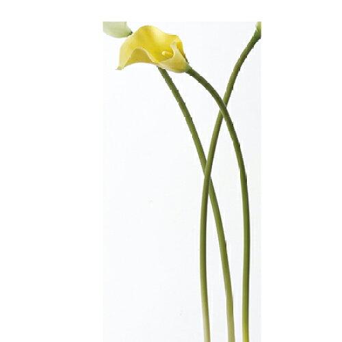 &nbsp;メーカー&nbsp;ASCA アスカ&nbsp;商品カテゴリ&nbsp;フラワー・観葉植物＞造花&nbsp;発送目安&nbsp;2日〜3日以内に発送予定（土日祝除）&nbsp;お支払方法&nbsp;銀行振込・クレジットカード&n...