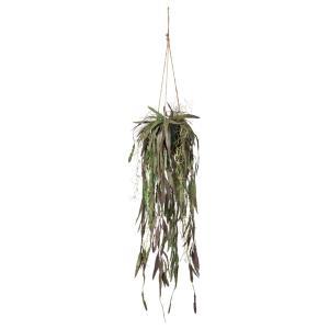 &nbsp;メーカー&nbsp;ASCA アスカ&nbsp;商品カテゴリ&nbsp;フラワー・観葉植物＞造花&nbsp;発送目安&nbsp;2日〜3日以内に発送予定（土日祝除）&nbsp;お支払方法&nbsp;銀行振込・クレジットカード&n...
