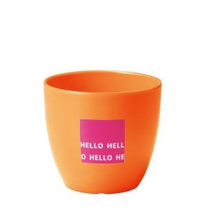 &nbsp;メーカー&nbsp;ケー・イー・アイ&nbsp;商品カテゴリ&nbsp;フラワー・観葉植物＞観葉植物&nbsp;発送目安&nbsp;2日〜3日以内に発送予定（土日祝除）&nbsp;お支払方法&nbsp;銀行振込・クレジットカード...