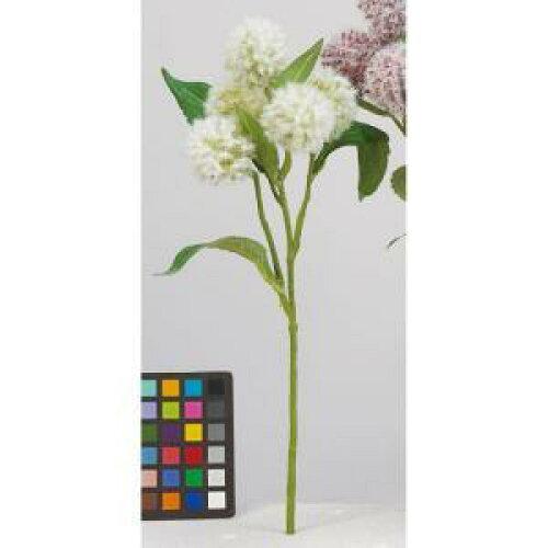 &nbsp;メーカー&nbsp;ASCA アスカ&nbsp;商品カテゴリ&nbsp;フラワー・観葉植物＞造花&nbsp;発送目安&nbsp;2日〜3日以内に発送予定（土日祝除）&nbsp;お支払方法&nbsp;銀行振込・クレジットカード&n...