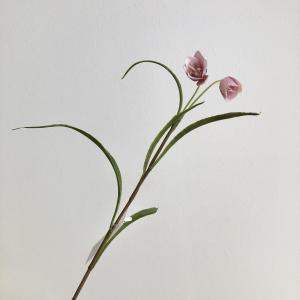 &nbsp;メーカー&nbsp;ASCA アスカ&nbsp;商品カテゴリ&nbsp;フラワー・観葉植物＞造花&nbsp;発送目安&nbsp;2日〜3日以内に発送予定（土日祝除）&nbsp;お支払方法&nbsp;銀行振込・クレジットカード&n...
