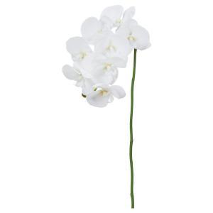 &nbsp;メーカー&nbsp;ASCA アスカ&nbsp;商品カテゴリ&nbsp;フラワー・観葉植物＞造花&nbsp;発送目安&nbsp;2日〜3日以内に発送予定（土日祝除）&nbsp;お支払方法&nbsp;銀行振込・クレジットカード&n...