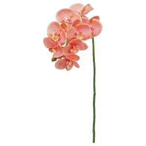 &nbsp;メーカー&nbsp;ASCA アスカ&nbsp;商品カテゴリ&nbsp;フラワー・観葉植物＞造花&nbsp;発送目安&nbsp;2日〜3日以内に発送予定（土日祝除）&nbsp;お支払方法&nbsp;銀行振込・クレジットカード&n...