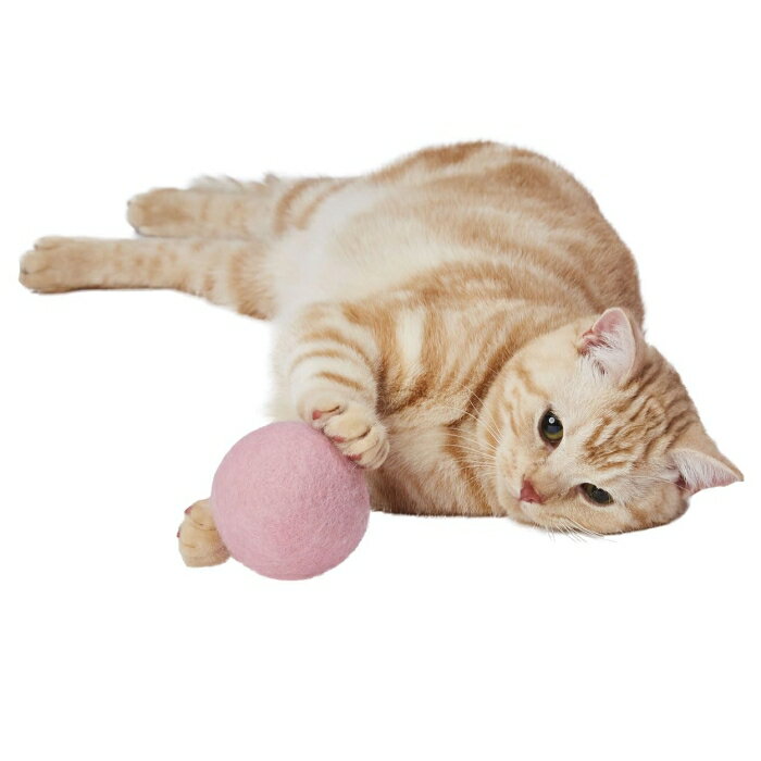 &nbsp;メーカー&nbsp;ペティオ&nbsp;商品カテゴリ&nbsp;猫＞おもちゃ&nbsp;発送目安&nbsp;3日〜4日以内に発送予定（土日祝除）&nbsp;お支払方法&nbsp;銀行振込・クレジットカード&nbsp;送料&nbs...