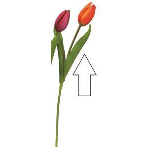 &nbsp;メーカー&nbsp;ASCA アスカ&nbsp;商品カテゴリ&nbsp;フラワー・観葉植物＞造花&nbsp;発送目安&nbsp;2日〜3日以内に発送予定（土日祝除）&nbsp;お支払方法&nbsp;銀行振込・クレジットカード&n...