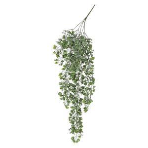 &nbsp;メーカー&nbsp;ASCA アスカ&nbsp;商品カテゴリ&nbsp;フラワー・観葉植物＞造花&nbsp;発送目安&nbsp;2日〜3日以内に発送予定（土日祝除）&nbsp;お支払方法&nbsp;銀行振込・クレジットカード&n...
