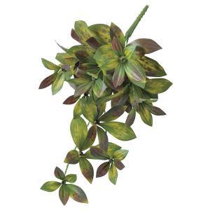 &nbsp;メーカー&nbsp;ASCA アスカ&nbsp;商品カテゴリ&nbsp;フラワー・観葉植物＞造花&nbsp;発送目安&nbsp;2日〜3日以内に発送予定（土日祝除）&nbsp;お支払方法&nbsp;銀行振込・クレジットカード&n...