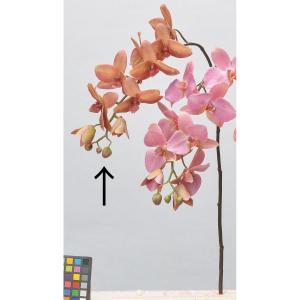&nbsp;メーカー&nbsp;ASCA アスカ&nbsp;商品カテゴリ&nbsp;フラワー・観葉植物＞造花&nbsp;発送目安&nbsp;2日〜3日以内に発送予定（土日祝除）&nbsp;お支払方法&nbsp;銀行振込・クレジットカード&n...