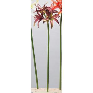 &nbsp;メーカー&nbsp;ASCA アスカ&nbsp;商品カテゴリ&nbsp;フラワー・観葉植物＞造花&nbsp;発送目安&nbsp;2日〜3日以内に発送予定（土日祝除）&nbsp;お支払方法&nbsp;銀行振込・クレジットカード&n...