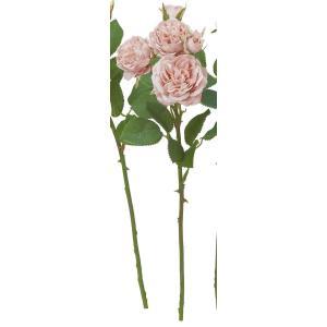 &nbsp;メーカー&nbsp;ASCA アスカ&nbsp;商品カテゴリ&nbsp;フラワー・観葉植物＞造花&nbsp;発送目安&nbsp;2日〜3日以内に発送予定（土日祝除）&nbsp;お支払方法&nbsp;銀行振込・クレジットカード&n...