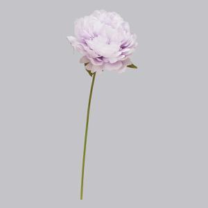 &nbsp;メーカー&nbsp;ASCA アスカ&nbsp;商品カテゴリ&nbsp;フラワー・観葉植物＞造花&nbsp;発送目安&nbsp;2日〜3日以内に発送予定（土日祝除）&nbsp;お支払方法&nbsp;銀行振込・クレジットカード&n...