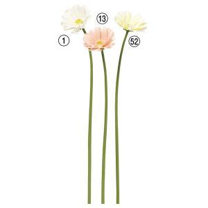 &nbsp;メーカー&nbsp;ASCA アスカ&nbsp;商品カテゴリ&nbsp;フラワー・観葉植物＞造花&nbsp;発送目安&nbsp;2日〜3日以内に発送予定（土日祝除）&nbsp;お支払方法&nbsp;銀行振込・クレジットカード&n...