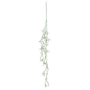 &nbsp;メーカー&nbsp;ASCA アスカ&nbsp;商品カテゴリ&nbsp;フラワー・観葉植物＞造花&nbsp;発送目安&nbsp;2日〜3日以内に発送予定（土日祝除）&nbsp;お支払方法&nbsp;銀行振込・クレジットカード&n...
