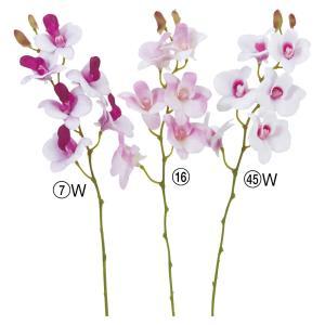 &nbsp;メーカー&nbsp;ASCA アスカ&nbsp;商品カテゴリ&nbsp;フラワー・観葉植物＞造花&nbsp;発送目安&nbsp;2日〜3日以内に発送予定（土日祝除）&nbsp;お支払方法&nbsp;銀行振込・クレジットカード&n...